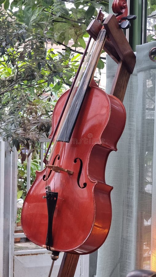 Violin Cello Decor by the Window of the Garden Trees Stock Photo ...