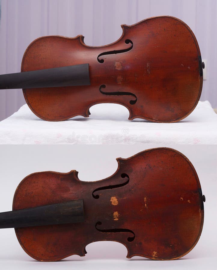 Rosing Bloom Stock Photos - Free & Royalty-Free Stock Photos from ...