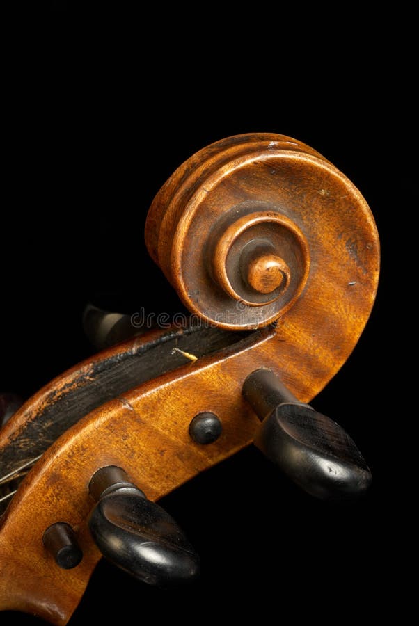 Violin close up stock image. Image of violin, strings - 15372955