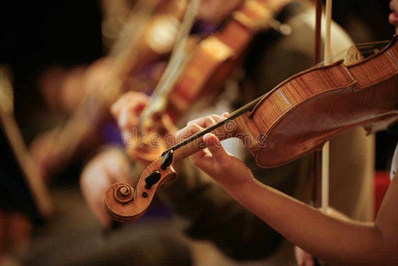Violin stock image. Image of musical, orchestral, stringed - 34027243