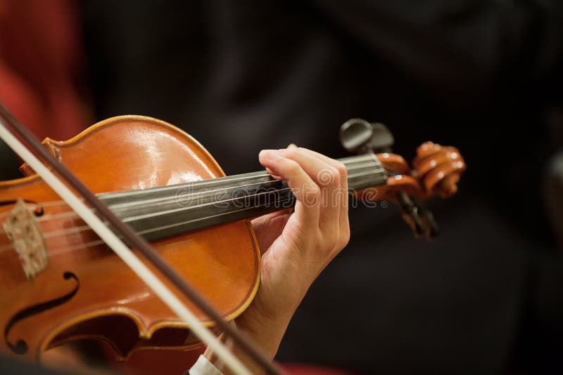 Violin stock image. Image of strings, musical, stringed - 34027685