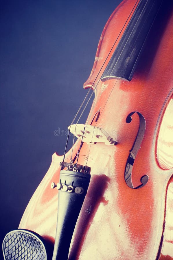 Violin Details Picture. Image: 8360654