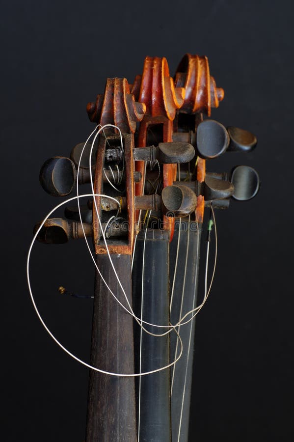 Violin details stock photo. Image of string, detail, instrument - 28205176