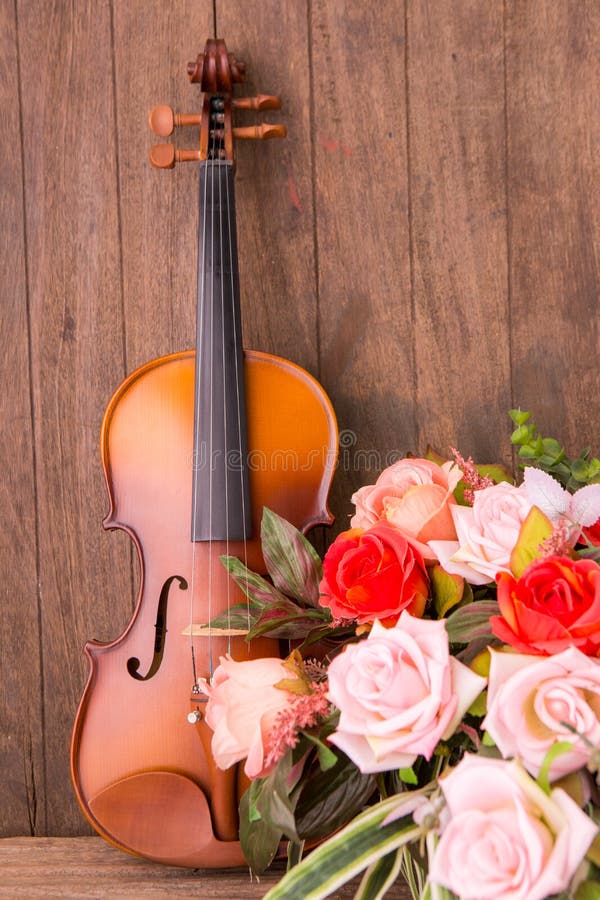 Violin and flower stock image. Image of romance, obsolete - 62332627