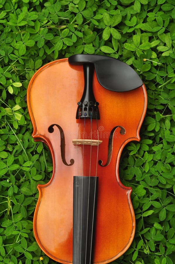 Violin in grass stock photo. Image of music, strings - 83529468