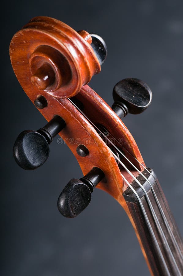 Violin Head on Gray Background Stock Photo - Image of partition, melody ...