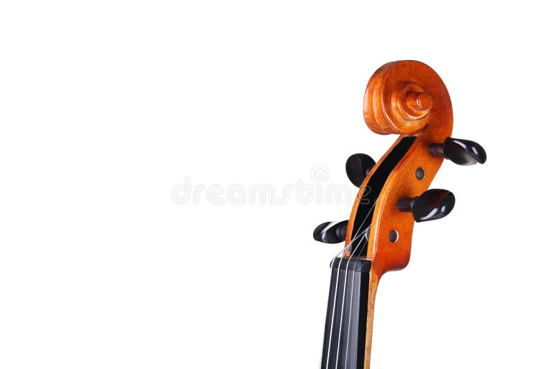 Violin head stock photo. Image of symphony, scroll, brown - 121592480