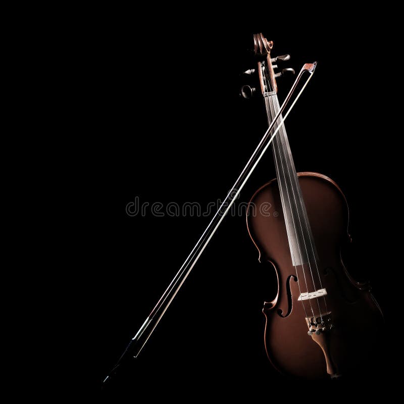 Violin isolated on white stock photo. Image of isolated - 33020098