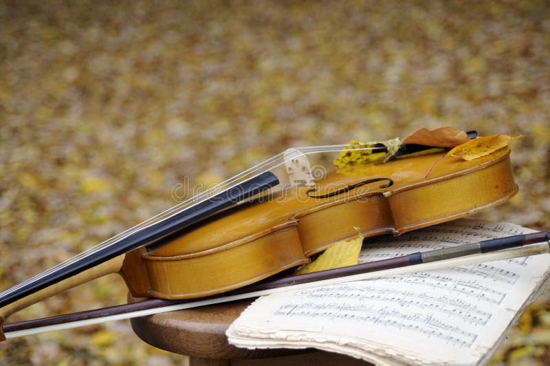 Violin with Leaves and Musical Sheet Stock Photo - Image of strings ...