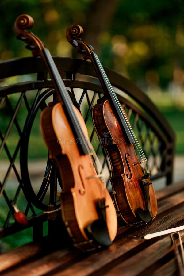 Violin Music Instrument of Orchestra. Violins in the Park on the Bench ...