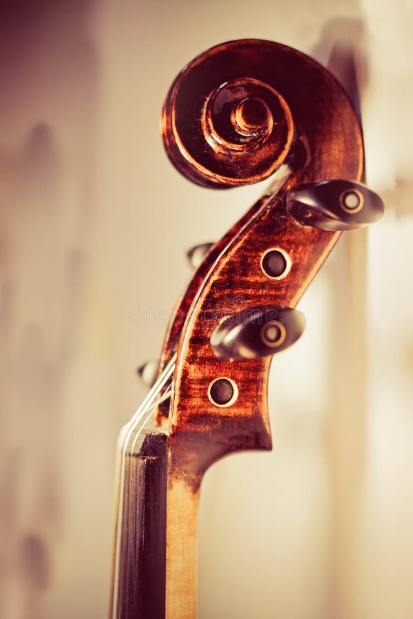 Violin Neck, Pegbox and Scroll Detail Stock Photo - Image of instrument ...