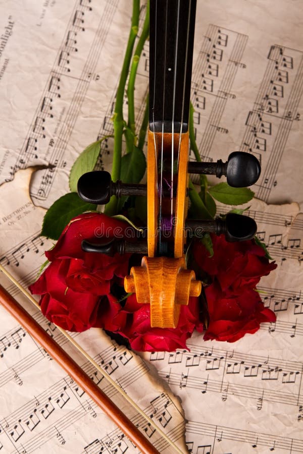 Violin on Old Sheet Music and Rose Closeup Stock Photo - Image of ...
