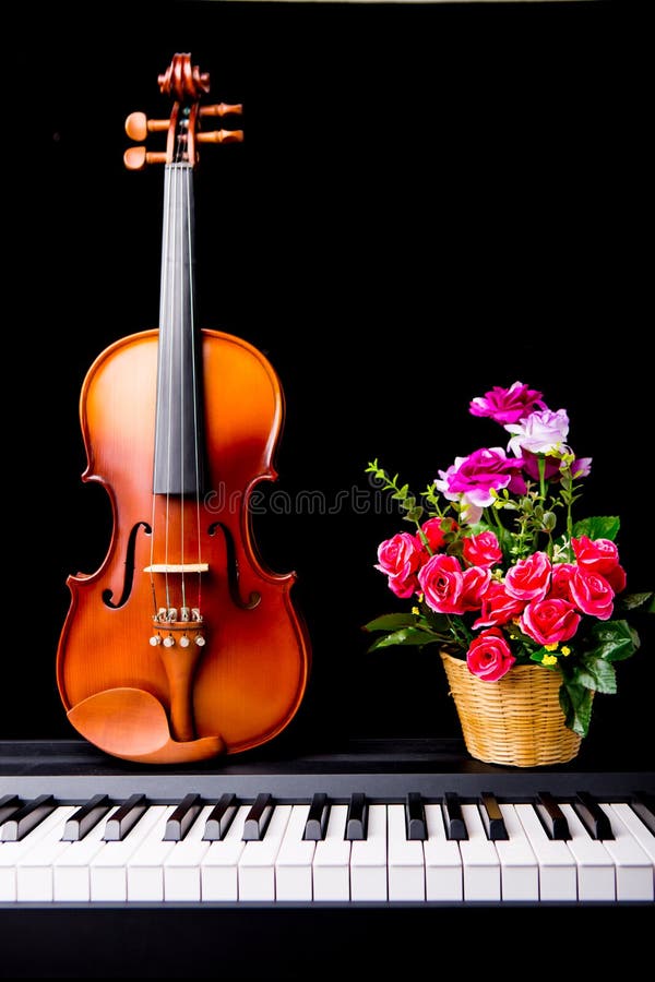 Violin piano rose stock photo. Image of love, concert - 36377374
