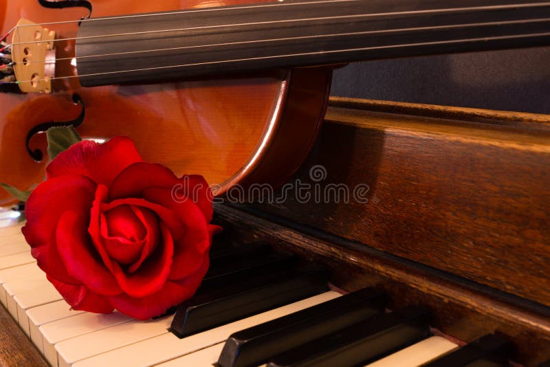 Violin, Piano, and Rose stock image. Image of creative - 28746379