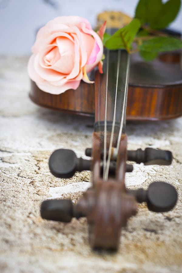 Violin and pink rose stock image. Image of music, paper - 121042365