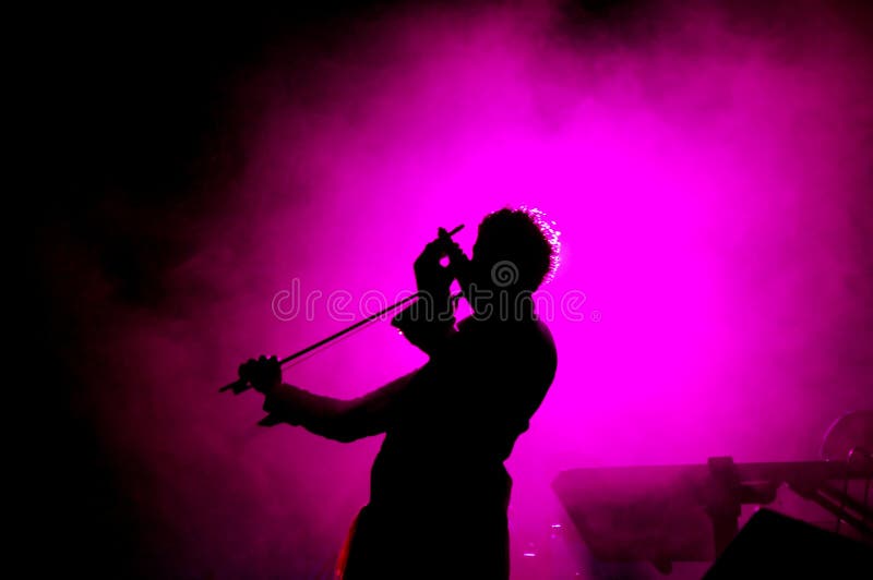 Violin player stock image. Image of instruments, viola - 408353