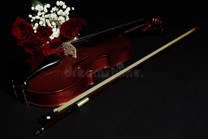 Violin with Red Rose in the Dark Stock Photo - Image of musical, rose ...