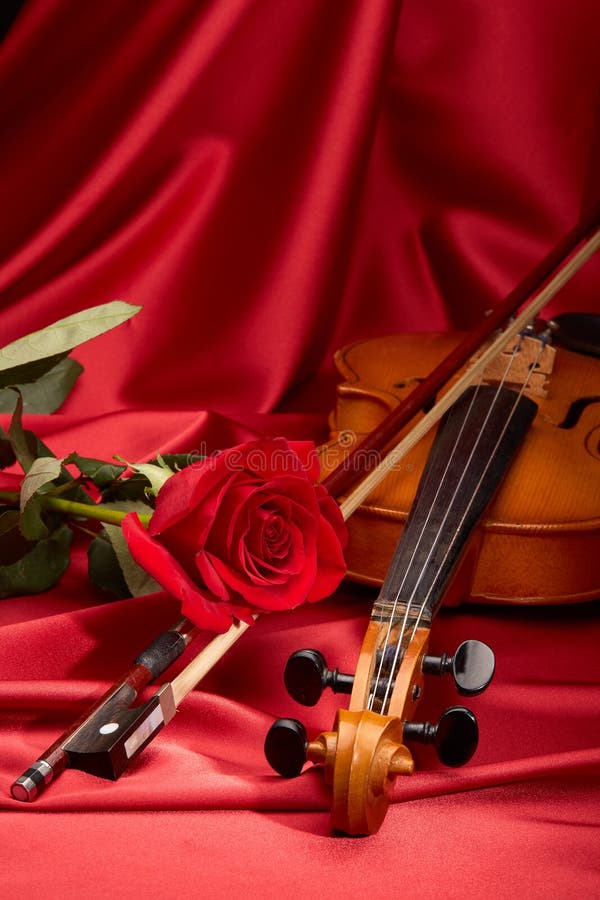 Violin and red rose. stock photo. Image of inspiration - 84746376