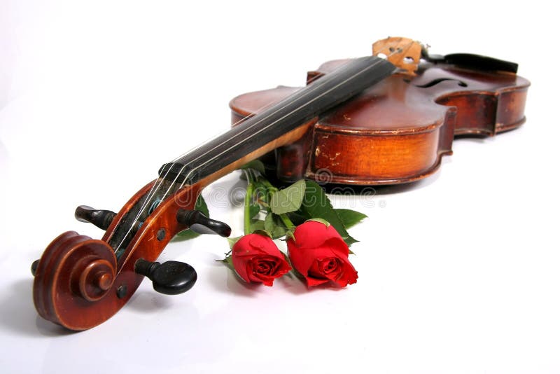Violin piano rose stock photo. Image of love, concert - 36377374