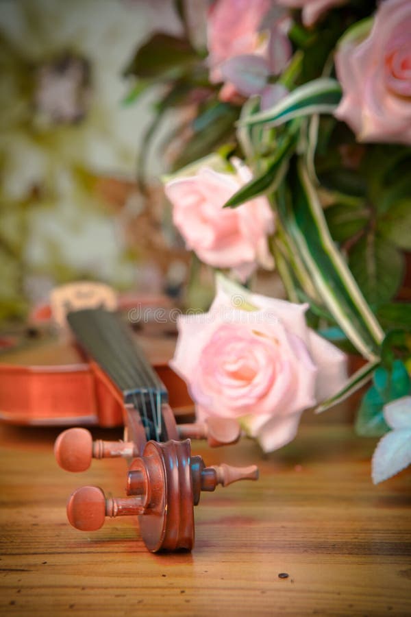 Violin and rose stock image. Image of rose, romance, symphony - 61028487