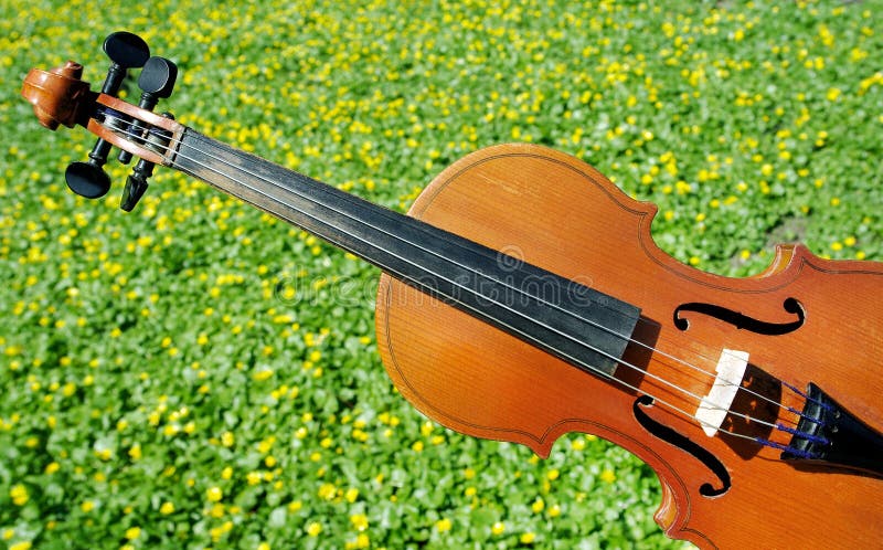 Violin and spring blooming stock photo. Image of shape - 2090300