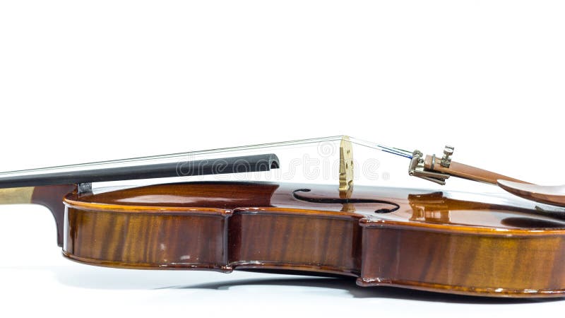 Violin strings stock photo. Image of folk, isolated, curve - 77117340