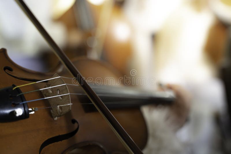 Violin Strings in Party Background.shallow Focus Effect Stock Photo ...