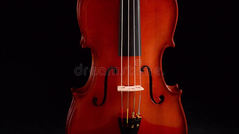 Violin or Viola Instrument Crafted by a Luthier Turning at Black ...