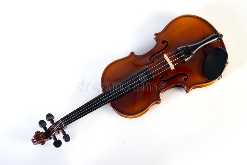 Violin Front View Isolated on White. Stock Image - Image of musicclose ...