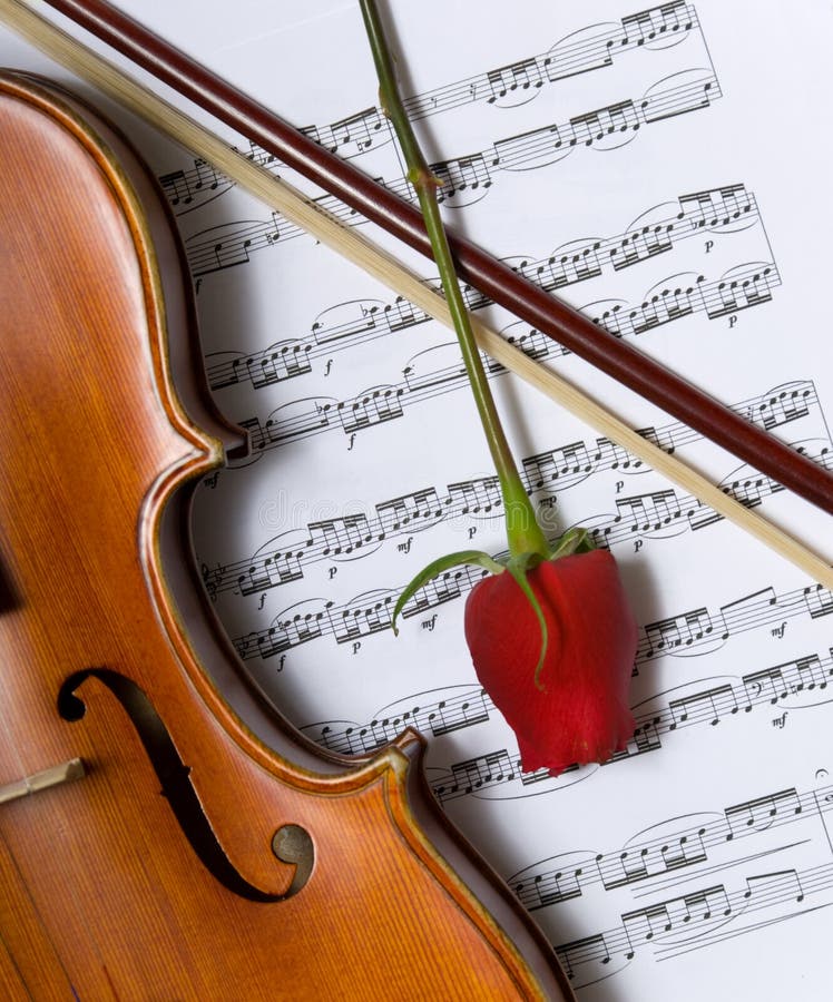 Violino, di rosa e musica fotografia stock. Immagine di stringed - 3187566