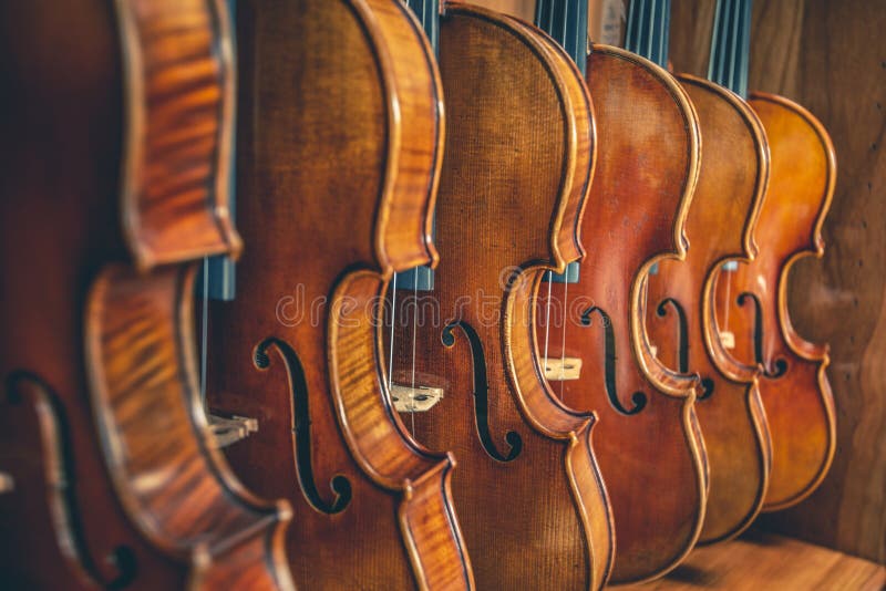 Violins are Lined on Shelve in Musical Instruments Store Stock Image ...