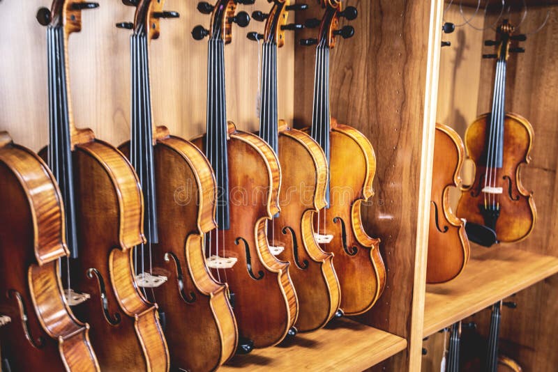 Violins are Lined on Shelve in Musical Instruments Store Stock Photo ...