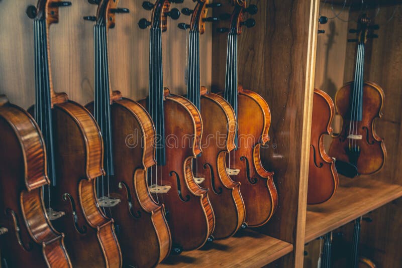 Row of Violins Arranged Neatly on a Stand in a Room. Stock Photo ...
