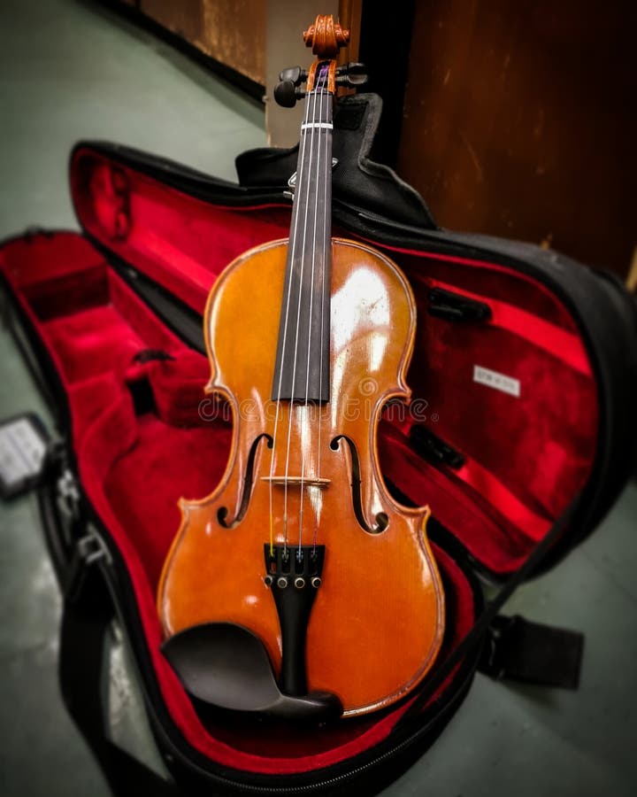 Violon stock image. Image of violon, music, instrument - 165174187