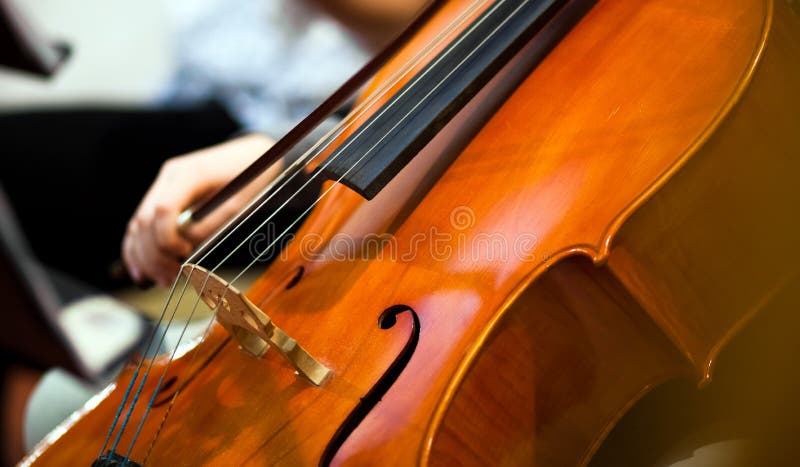 Violoncello stock photo. Image of white, shape, fiddle - 39793586