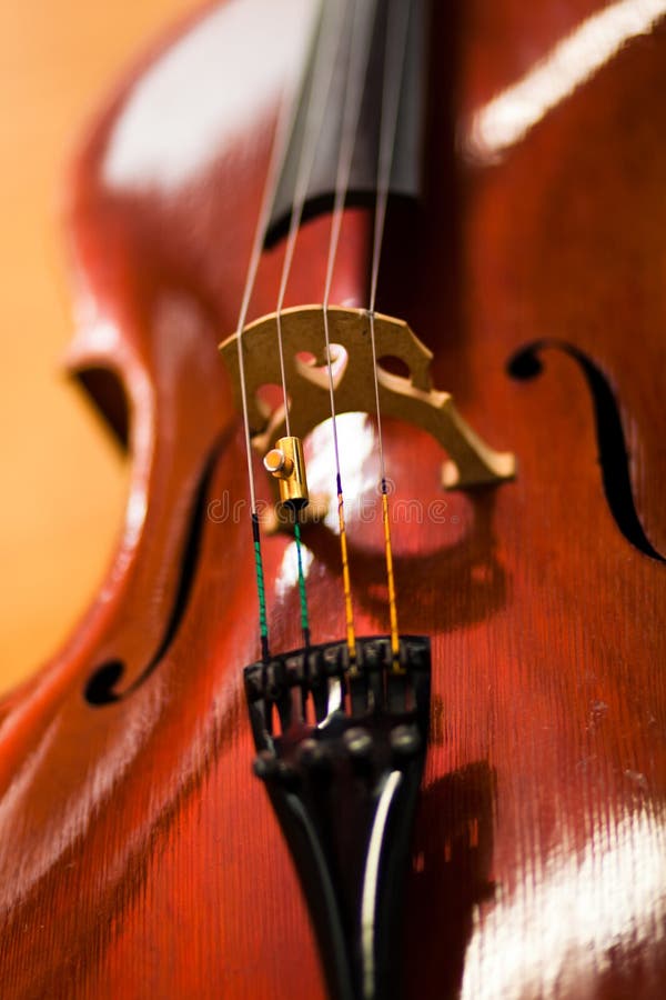Violoncello stock photo. Image of violoncello, concert - 39793624