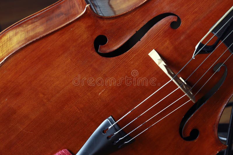 Violoncello stock photo. Image of orchestra, creator - 237948660