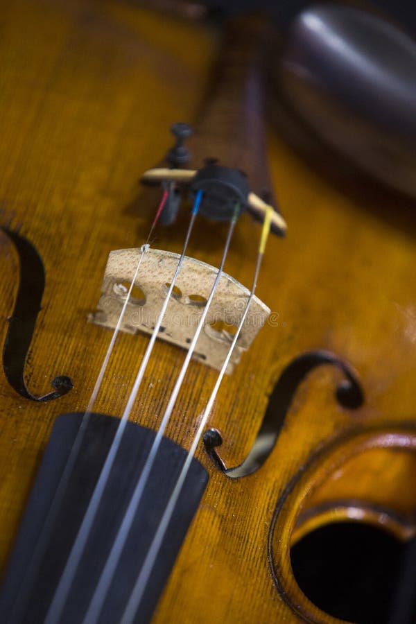 Violoncello stock photo. Image of musical, creator, musician - 237948738