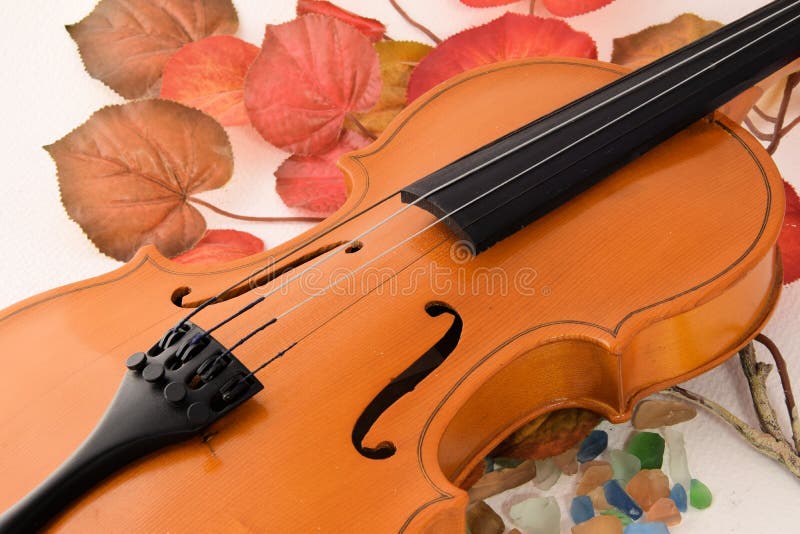 Viool stock foto. Image of instrument, najaar, wachten - 79498590