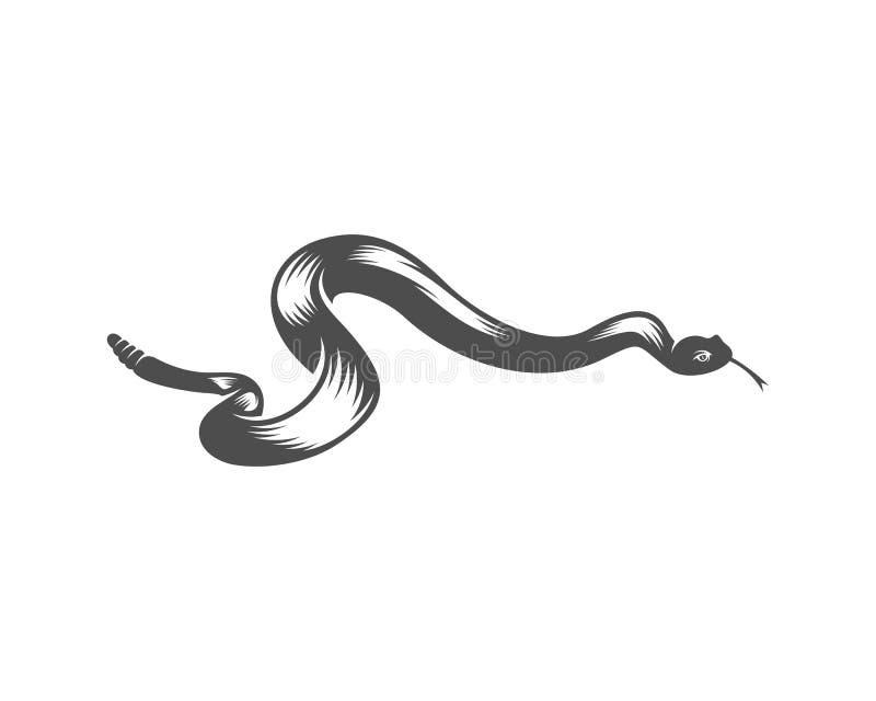 Viper Snake Logo Design Vector, Animal Graphic, Snake Design Template ...
