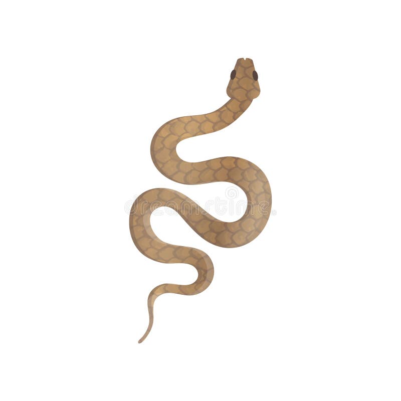 Cartoon Snake Reptile Top View Stock Illustrations – 20 Cartoon Snake ...