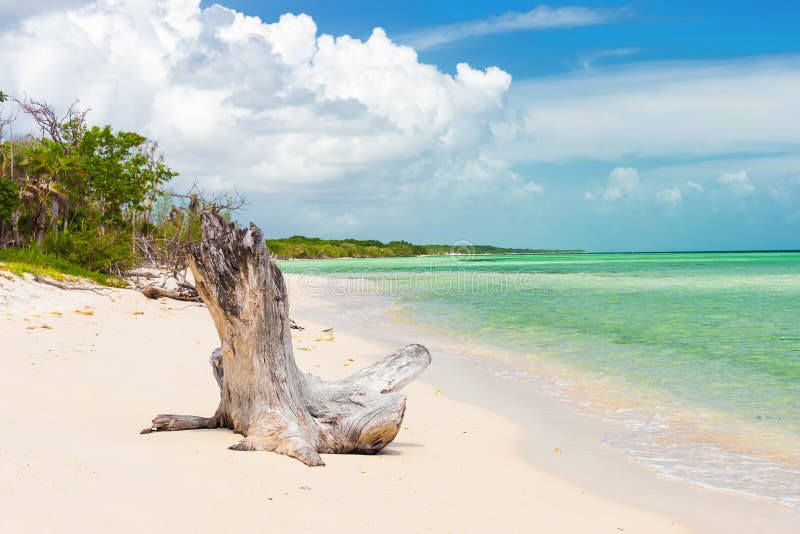 Virgin Beach at Coco Key (Cayo Coco) in Cuba Stock Image - Image of ...