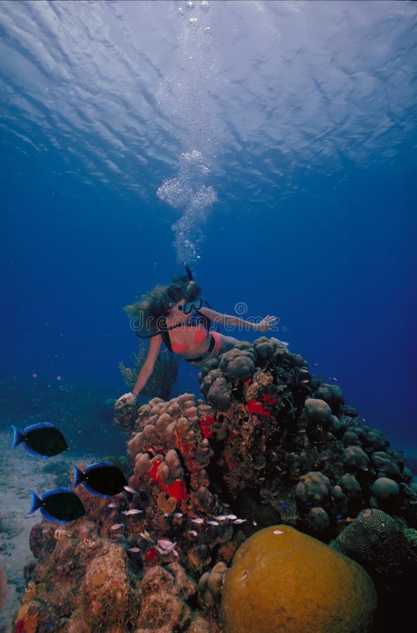 VIrgin Islands Caribbean Scuba Girl 2 Stock Image - Image of diving ...