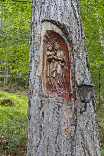 Virgin Mary in tree stock photo. Image of lienz, religion - 21071408