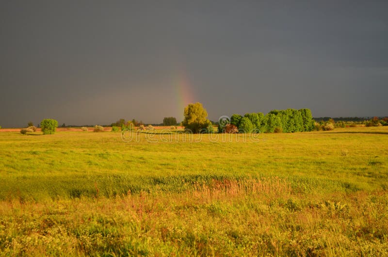 Virgin Meadows after the Rain Stock Photo - Image of rainbow, green ...
