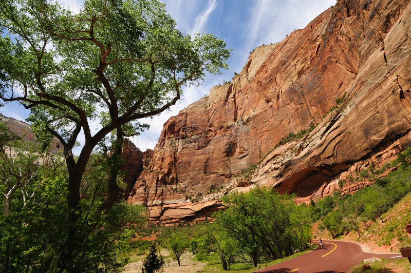 Virgin River Gorge Zion NP stock image. Image of road - 14549085