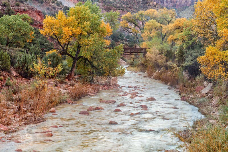 Virgin River Zion National Park in Fall Stock Image - Image of rock ...