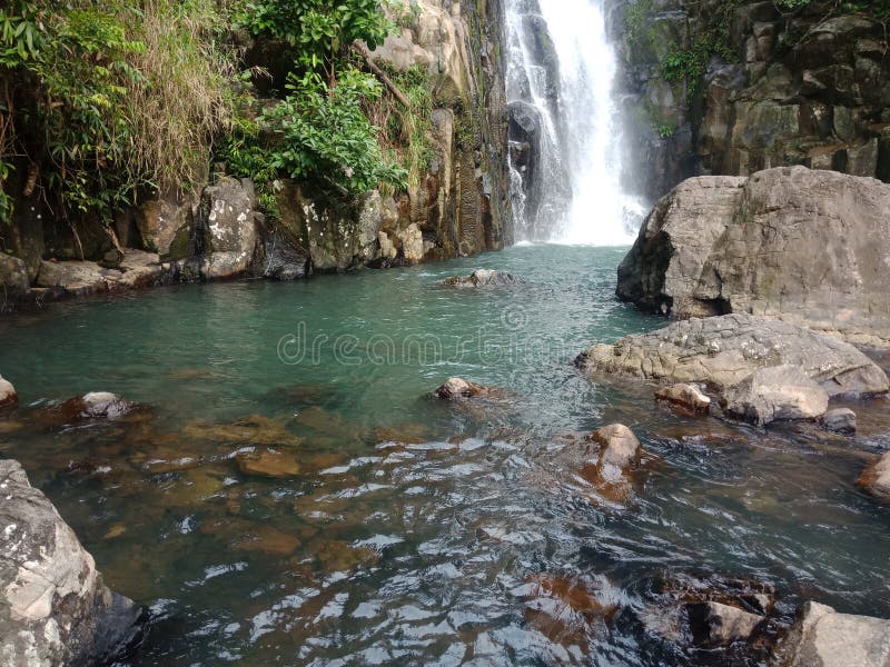 Virgin Waterfall in the Forest Stock Image - Image of forest ...