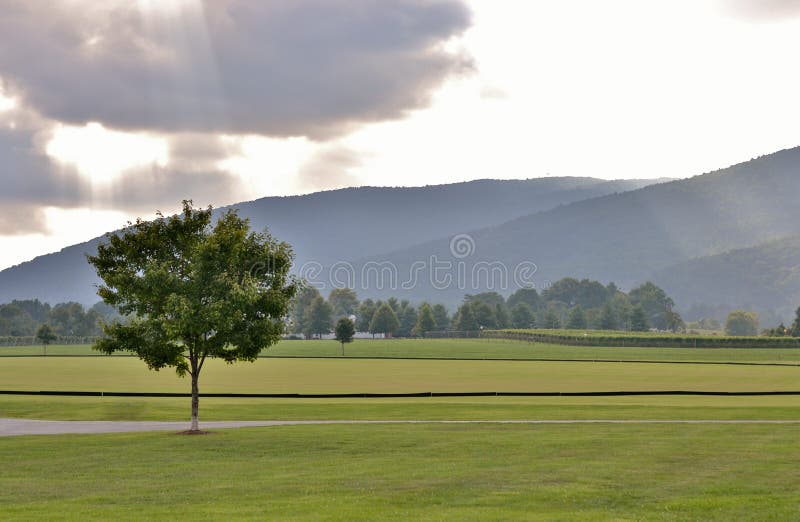 Virginia Countryside stock image. Image of shenandoah - 44225407