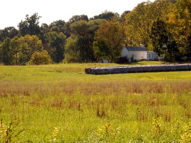 Virginia Hay Field - Farmland Stock Image - Image of harvest, season ...